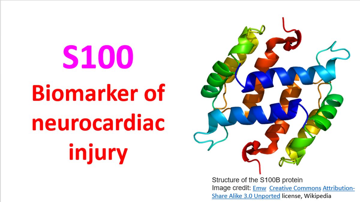 S100: Biomarker of neurocardiac injury - All About Cardiovascular ...