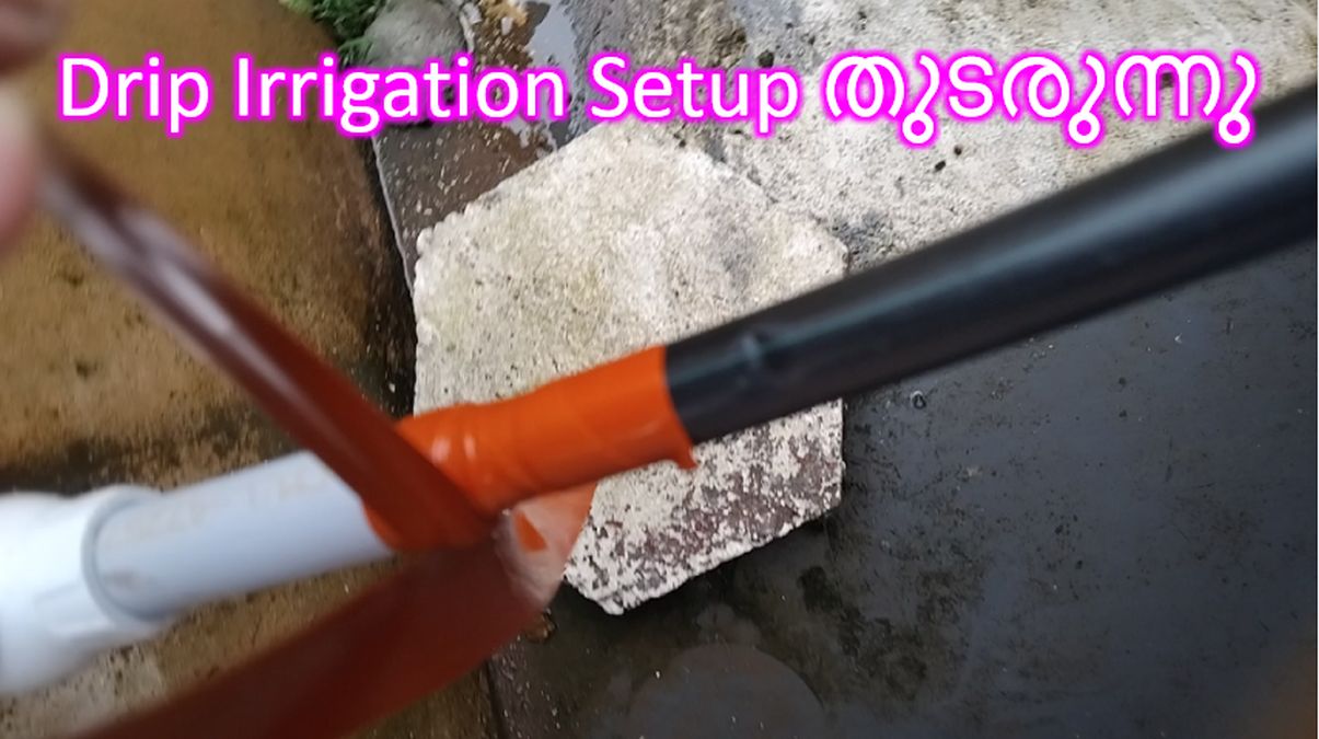 Drip Irrigation Setup തുടരുന്നു - Johnson's Techworld